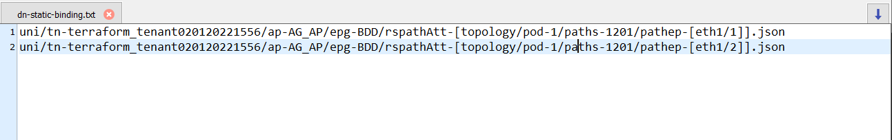 Error When Using Icurl On Cisco APIC To Delete Static Binding Cisco