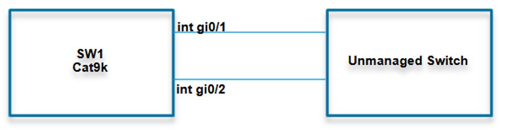 Catalyst 9000 シリーズ:「Loop Detection Guard」の機能紹介/サポートについて - Cisco Community