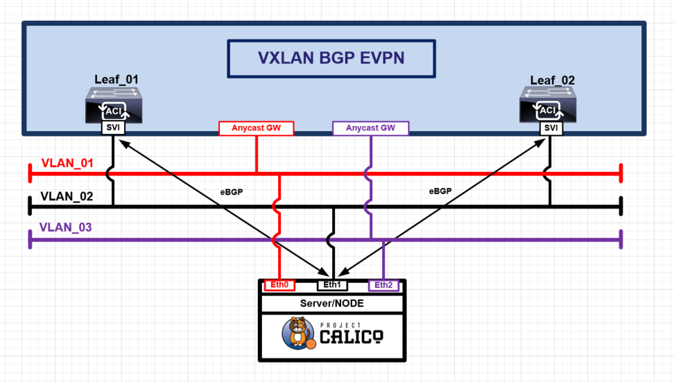 Ebgp Over Vpc Anycast Gw On The Same Border Leaf Vxlan Bgp Evpn