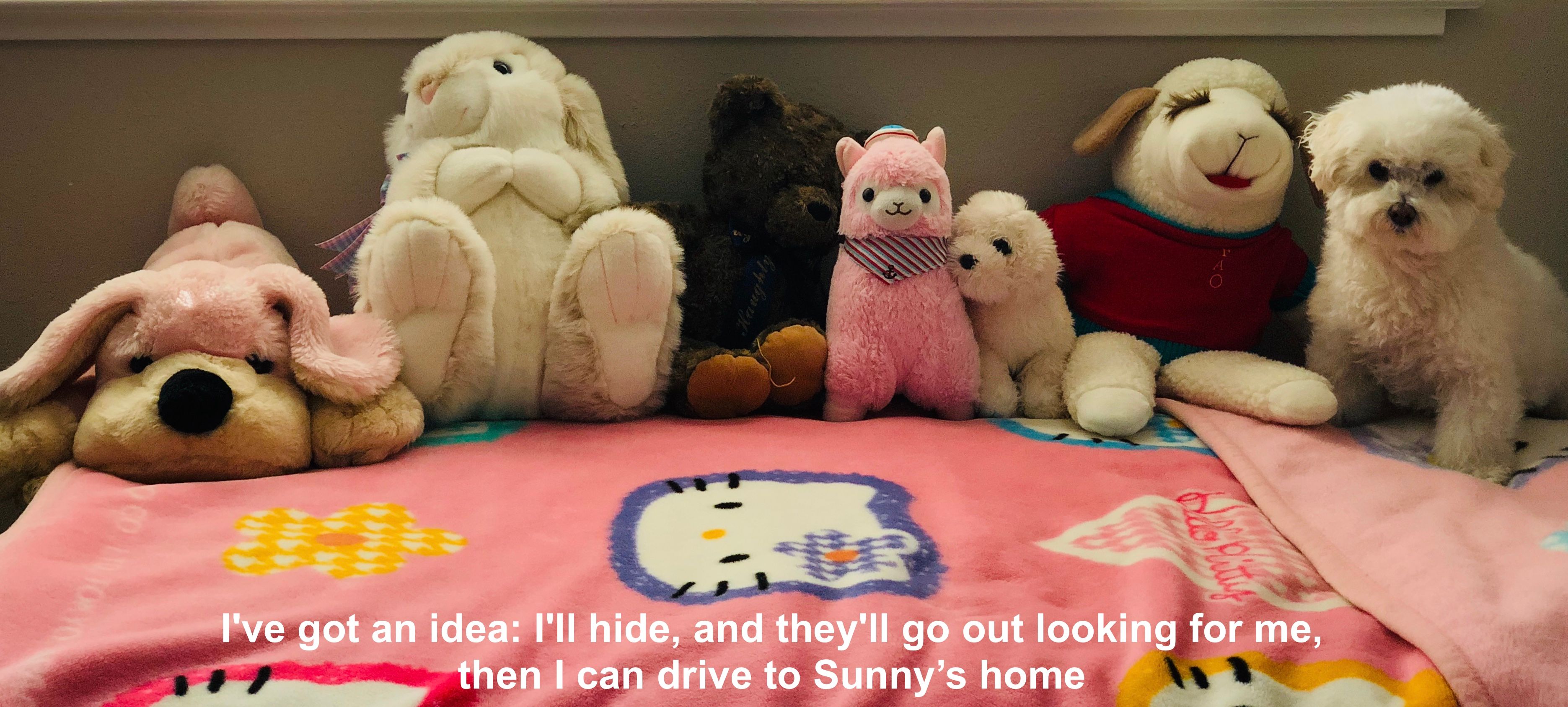 Meme Monday: Autonomous Vehicle - Use Cases - Cisco Community