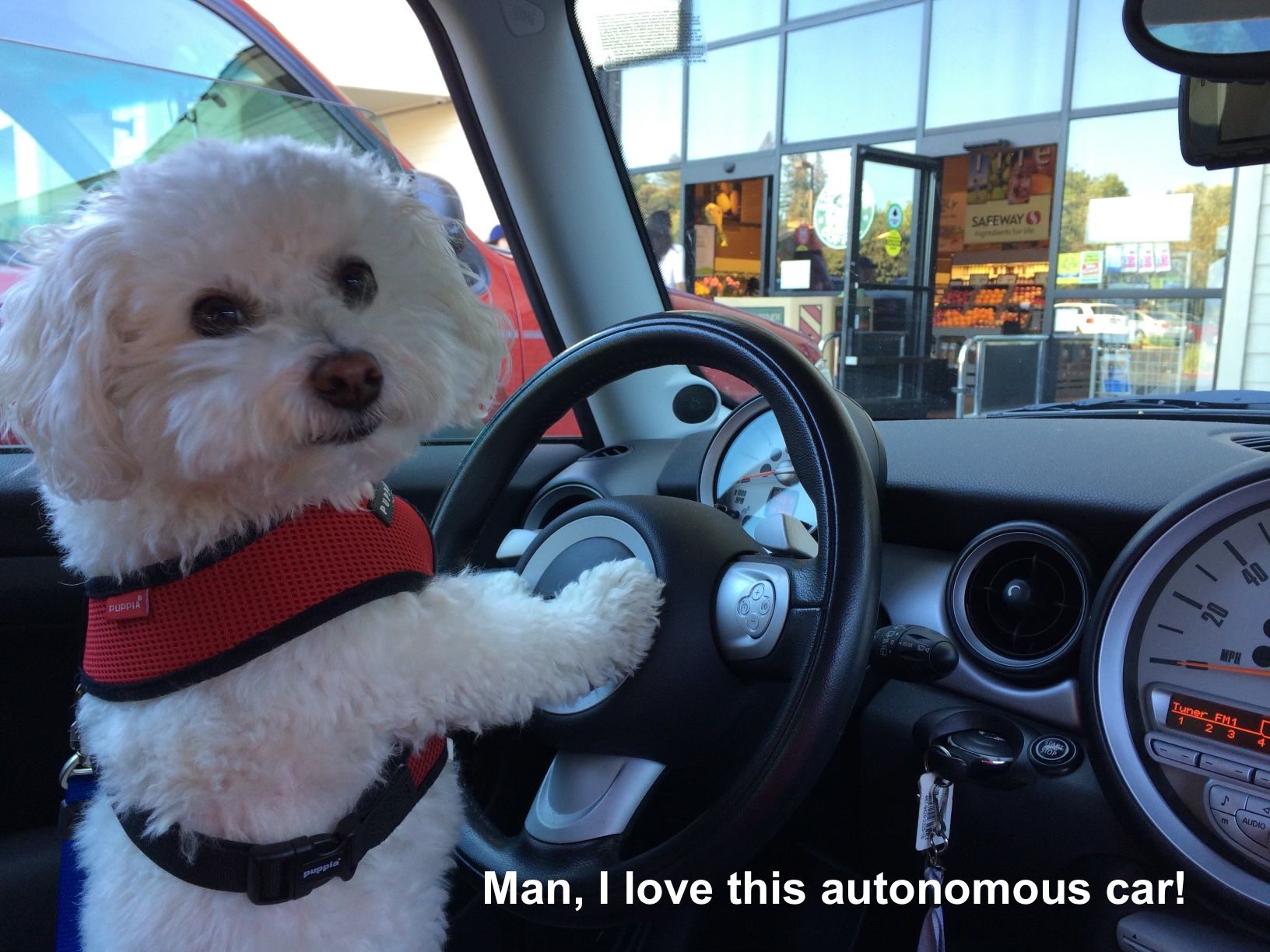 Meme Monday: Autonomous Vehicle - Use Cases - Cisco Community