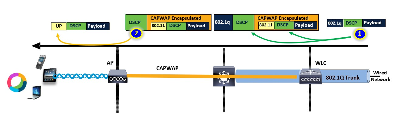 🌐 Wireless Traffic Flow Demystified! 📶 - Cisco Community
