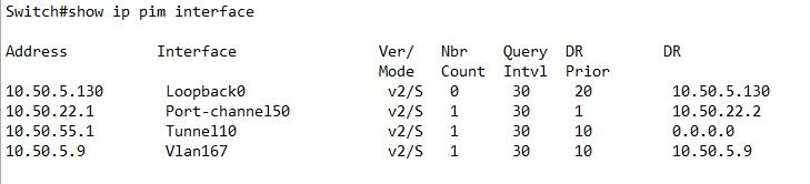 Solved: No DR for PIM interface? - Cisco Community