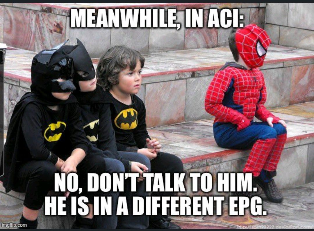 Solved: Communication within same Bridge Domain - Cisco Community