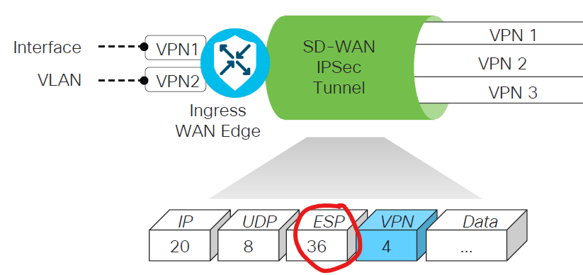 Cisco SD-WAN : Overhead size - Cisco Community