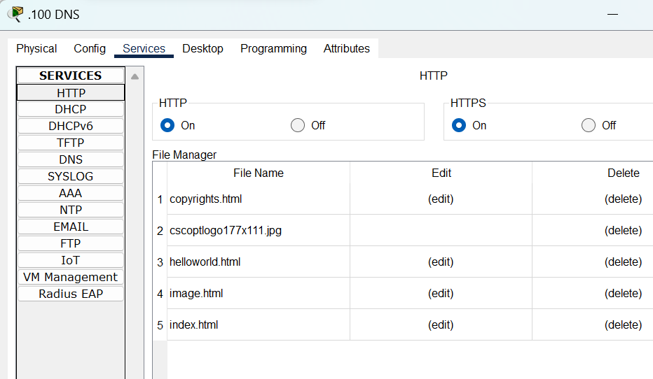 DNS and Web Server Cisco Packet tracer - Cisco Community