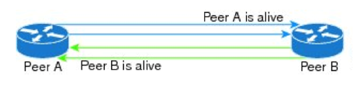 BFD over Logical Bundle (BLB) implementation on NCS5500 platforms ...