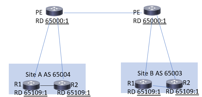 Solved: Same route distinguishers configured in multiple routers ...